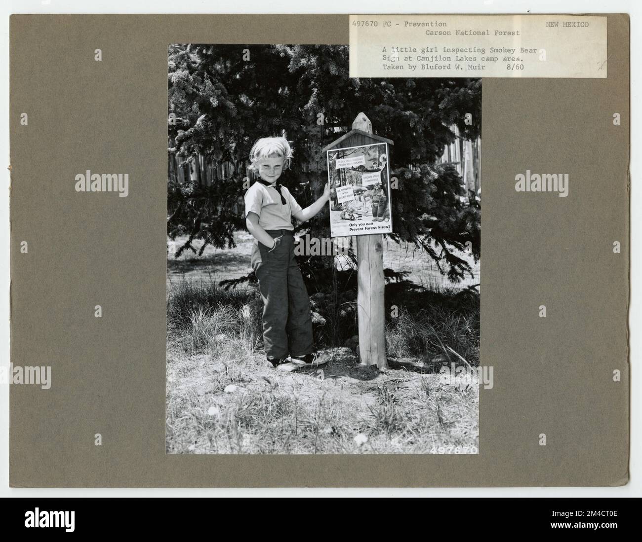 CFFP Program Posters - All States. Photographs Relating to National ...