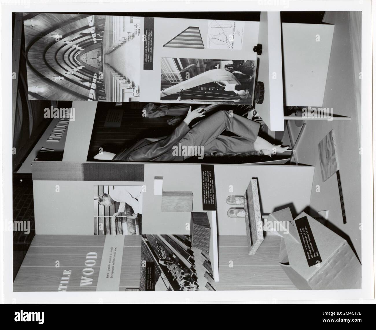 Cffp Cut Out Stock Images & Pictures - Alamy