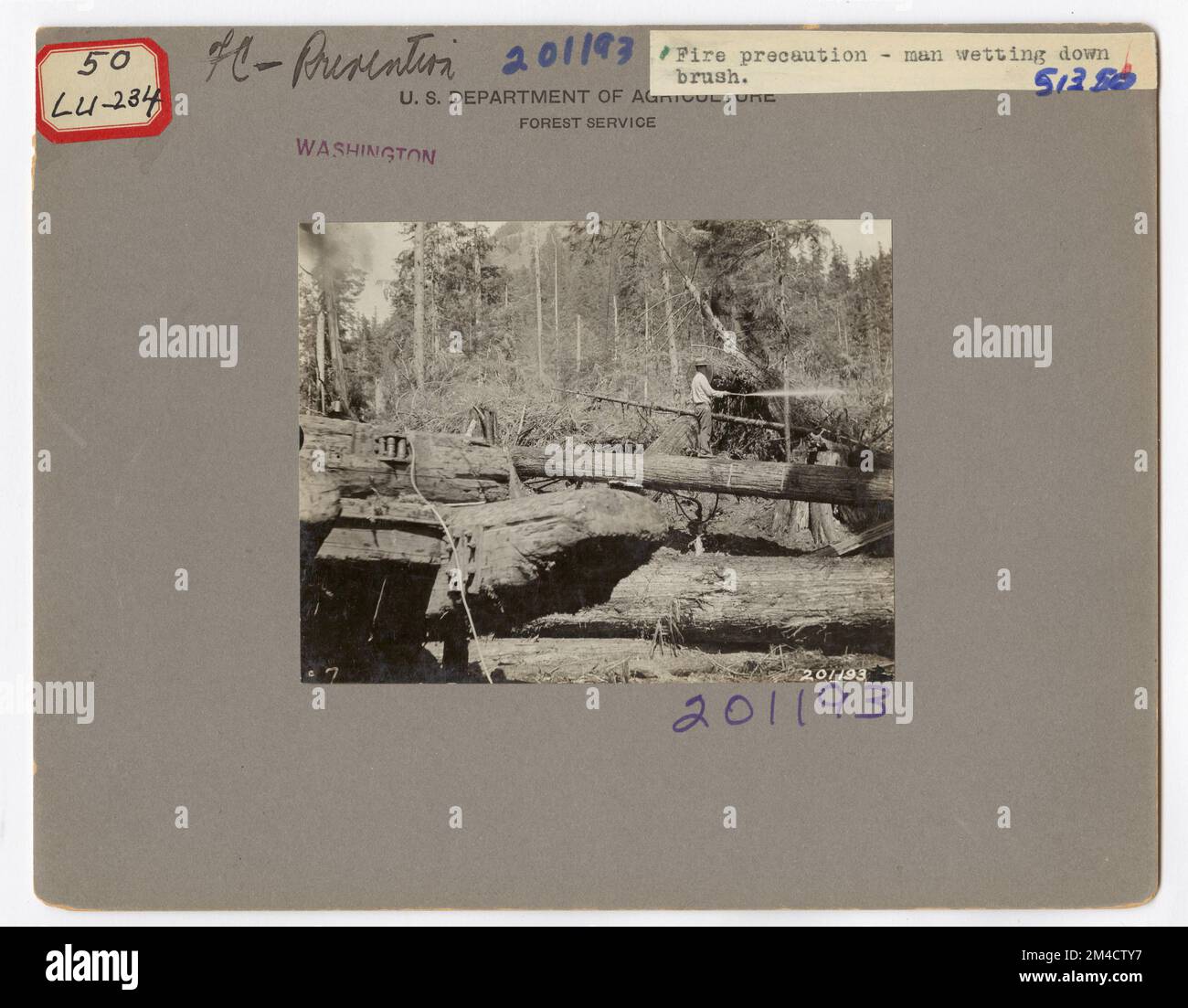 Snag Removal - All States. Photographs Relating to National Forests ...