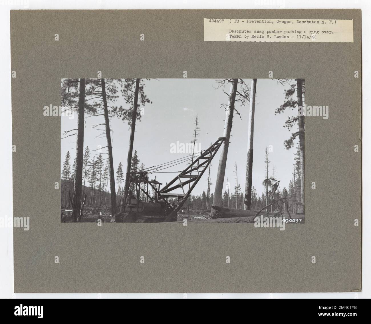 Snag Removal - All States. Photographs Relating to National Forests ...