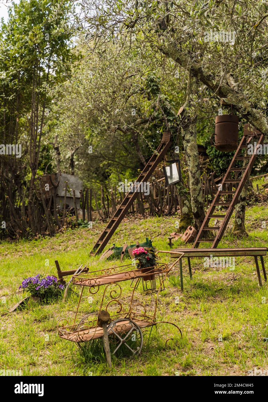 Detail of a beautiful garden in Florence, Italy, Tuscany with green ...