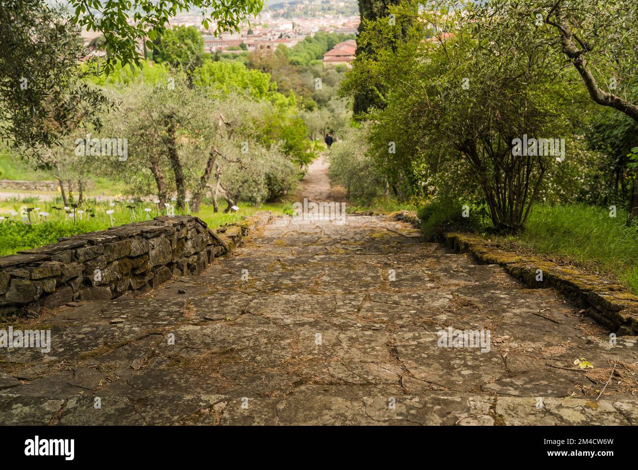 Detail of a beautiful garden in Florence, Italy, Tuscany with green ...