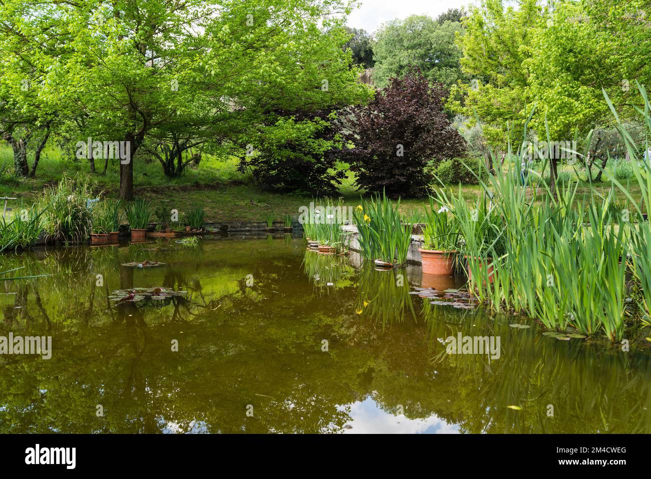 Detail of a beautiful garden in Florence, Italy, Tuscany with green ...