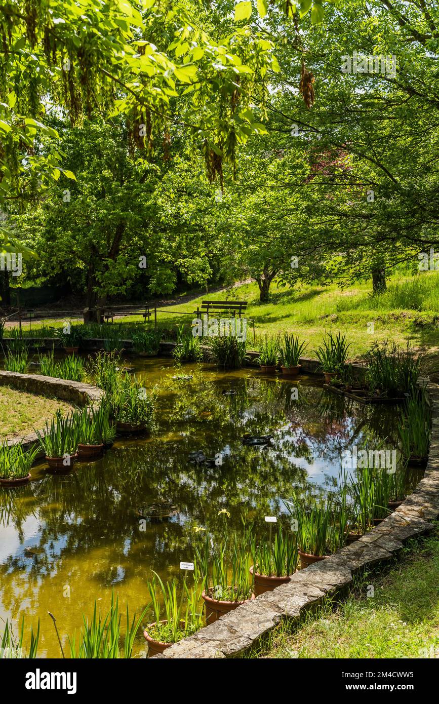 Detail of a beautiful garden in Florence, Italy, Tuscany with green ...