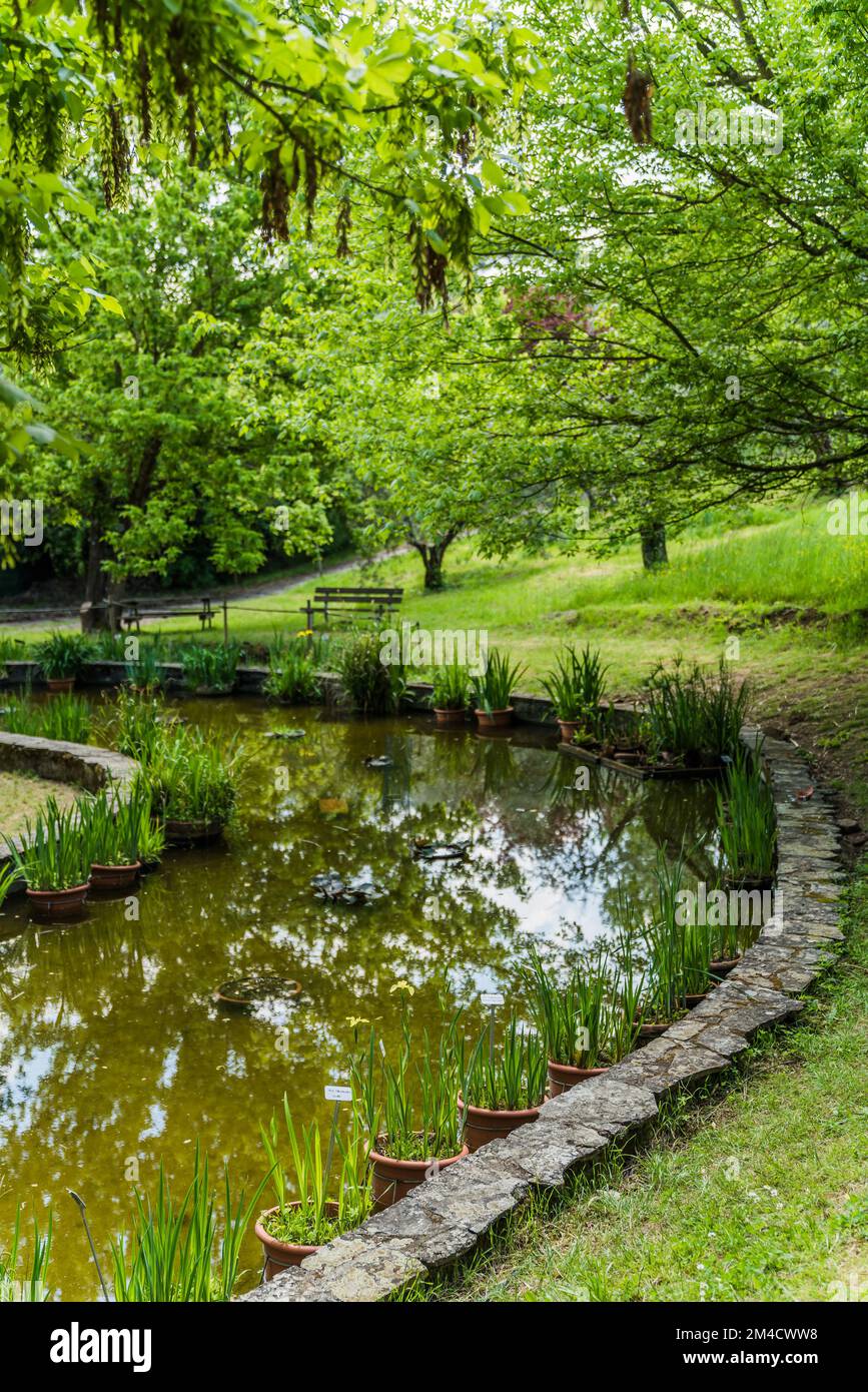 Detail of a beautiful garden in Florence, Italy, Tuscany with green ...