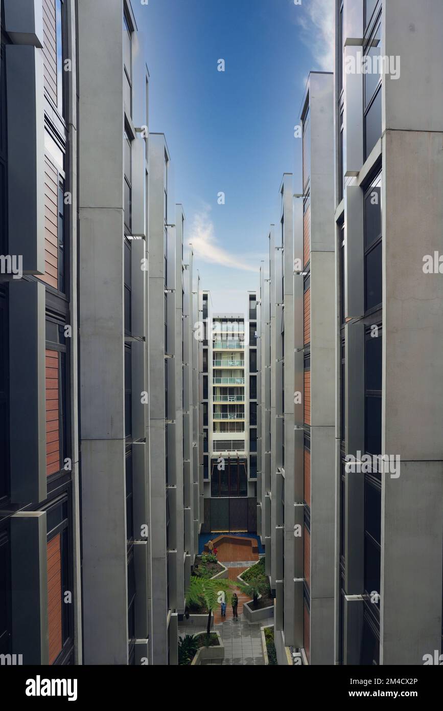 A vertical shot of the garden between two commercial buildings Stock ...