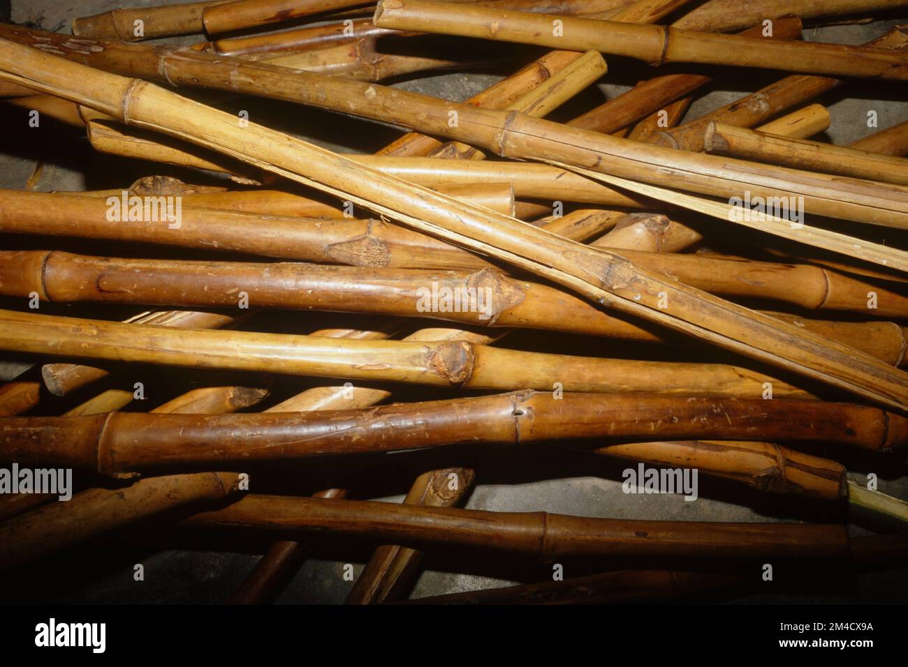 Bamboo-sticks for Huranga, the most enjoyable part of Holi for women ...