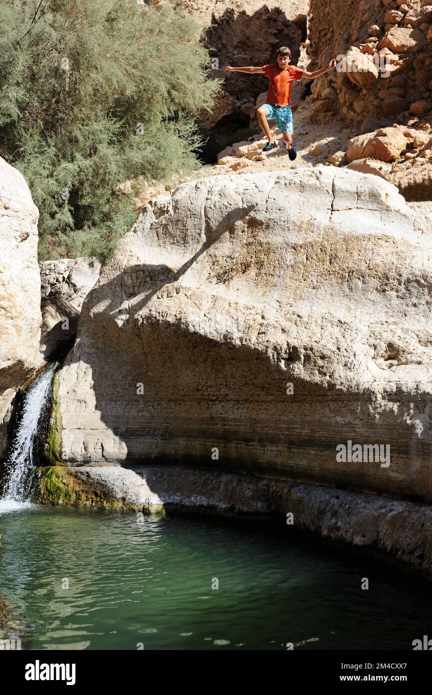 Streams and waterfalls Nature Reserve Ein Gedi at the Dead Sea in ...