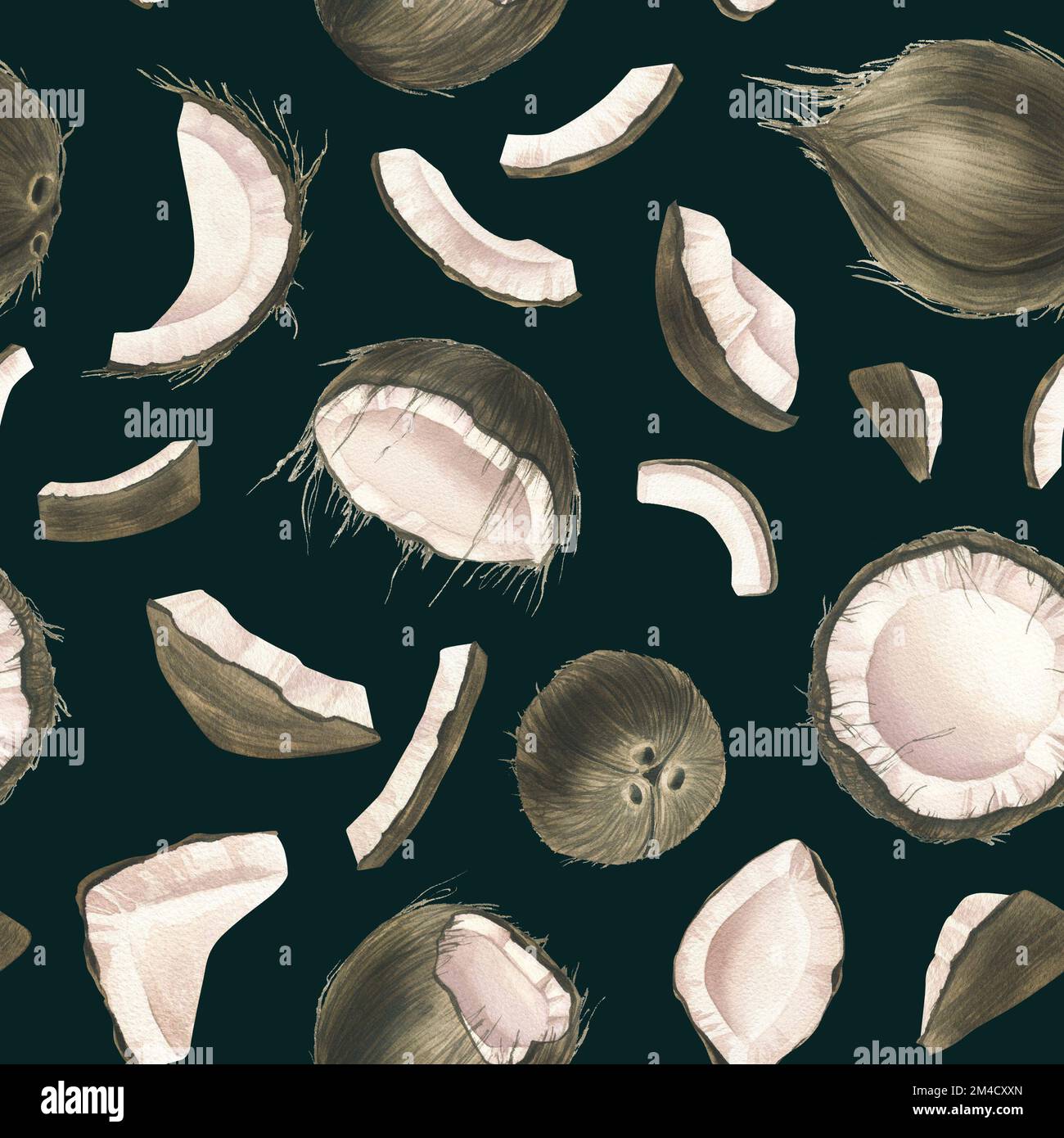 Coconuts are whole and broken, cut into pieces on a black background ...