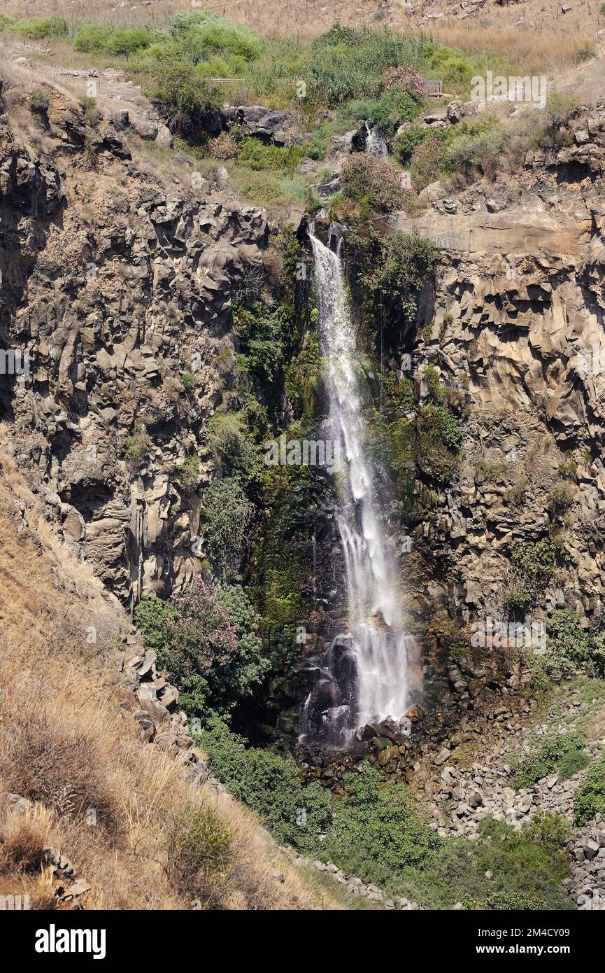 Gamla Nature Reserve in Israel - the ancient city and the tallest ...