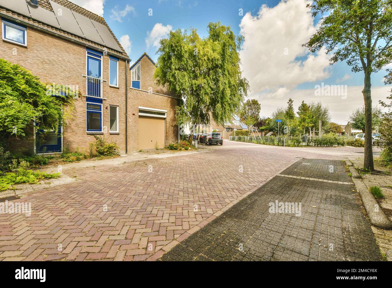 a brick paved street with trees and houses in the background on a ...