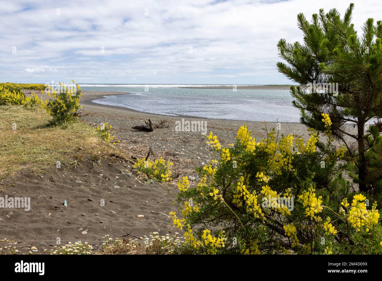 Caleta la Barra - point where the river Tolten flows into the pacific ...
