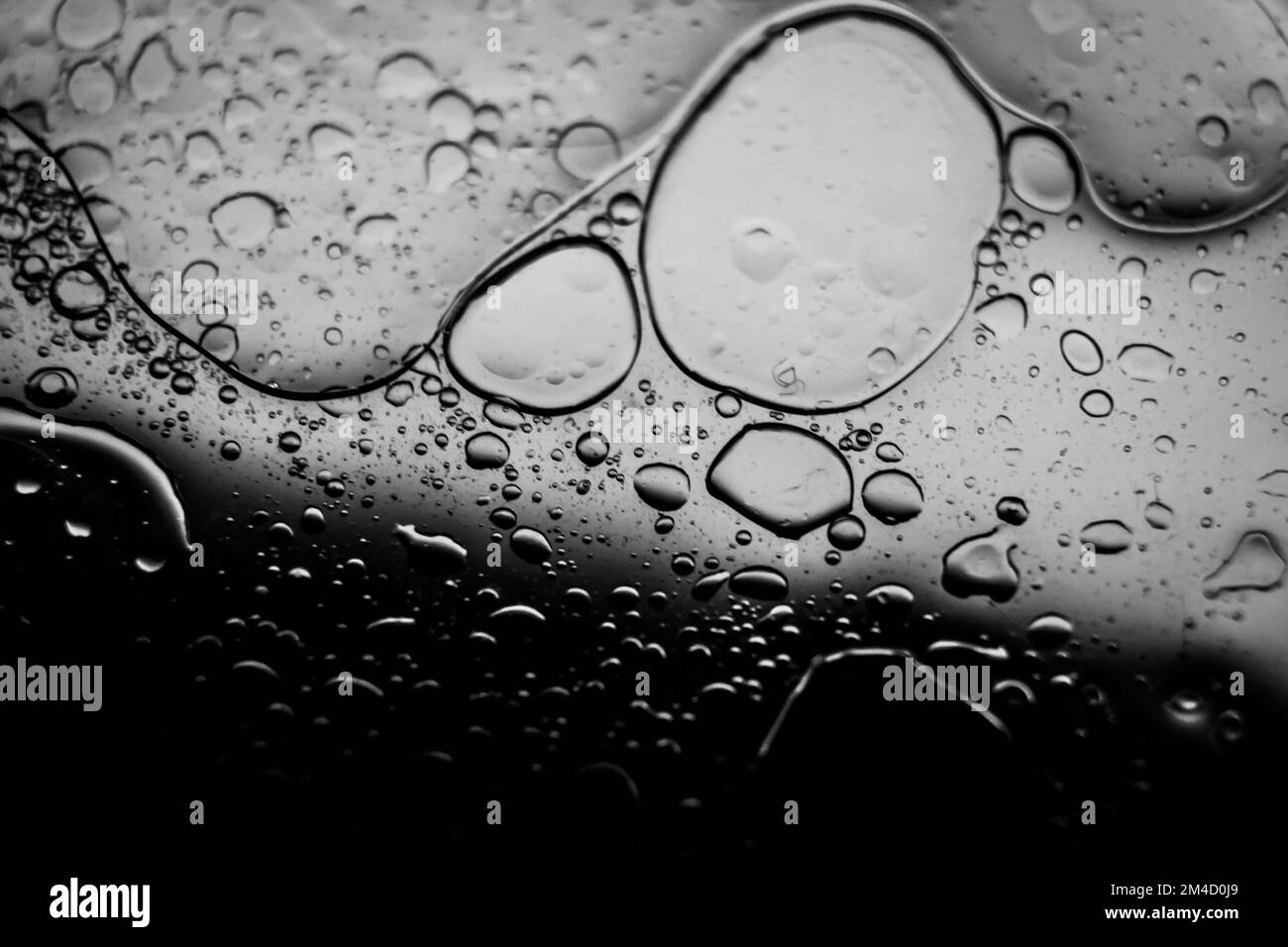 A grayscale macro shot of water drops on a glass with gray and black ...