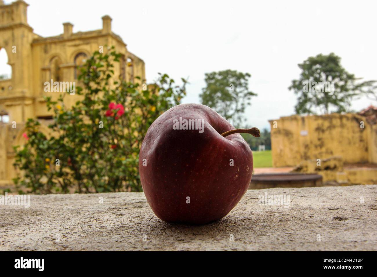 Ipoh, Perak, Malaysia - November 2012: A close up of an apple in the ...