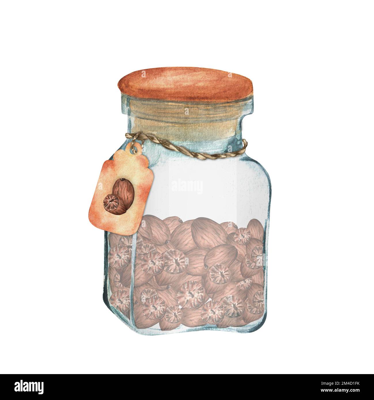 Hand-drawn watercolor glass jar with nutmeg spice. This is a part of ...