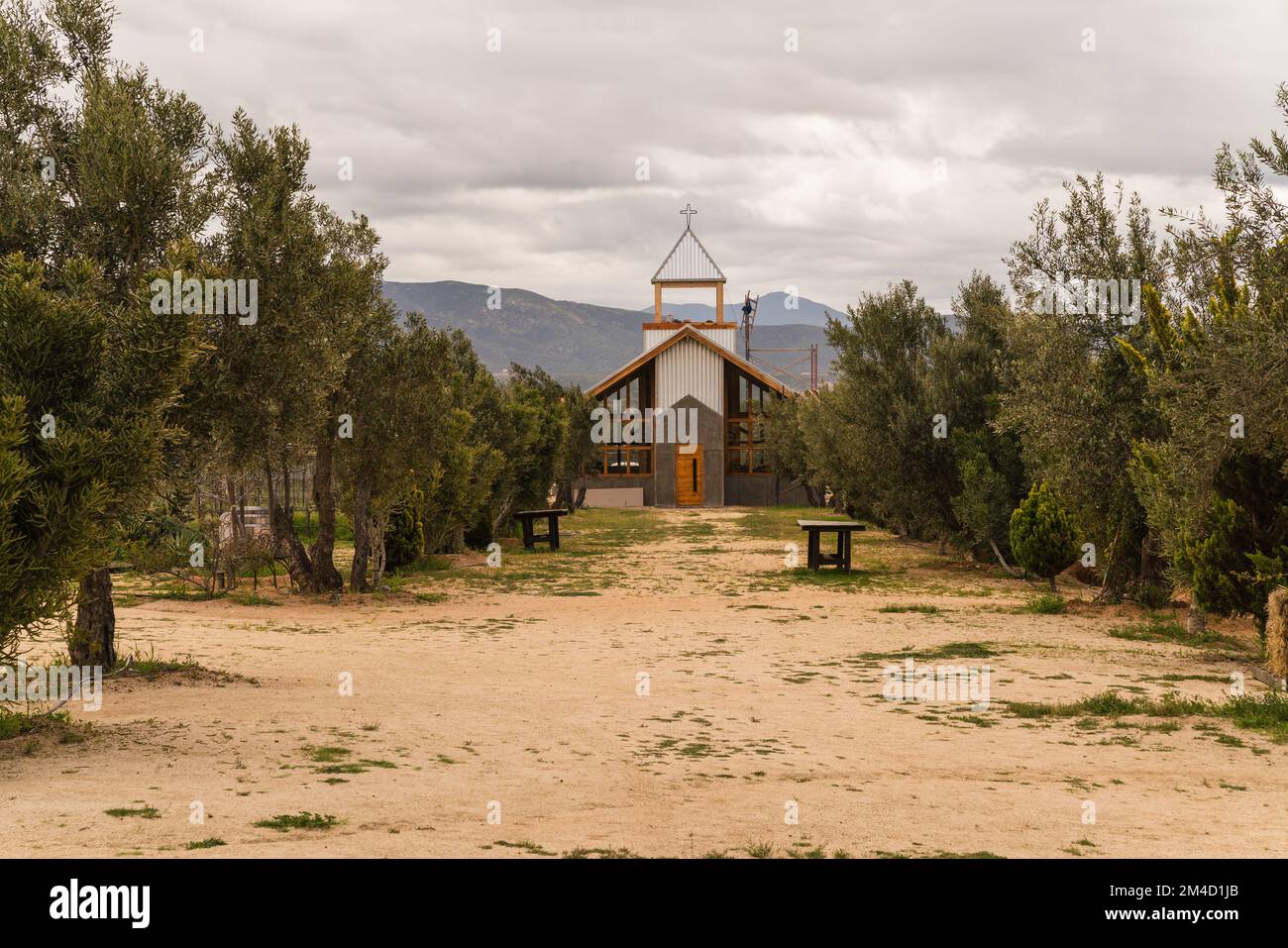 Mexican orchid hi-res stock photography and images - Alamy