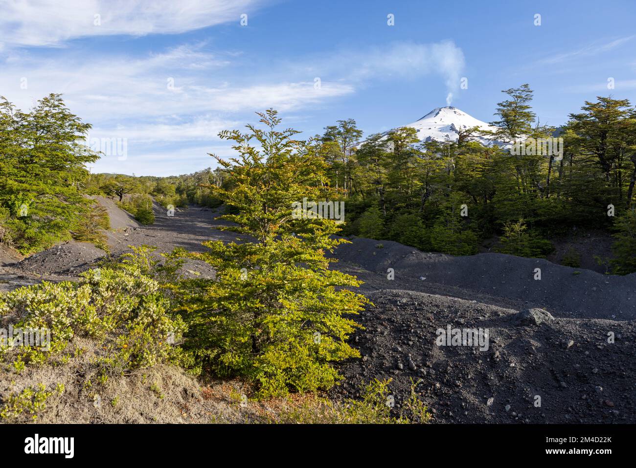 Villarrica volcano with a big column of smoke; Pucon, Chile Stock Photo ...