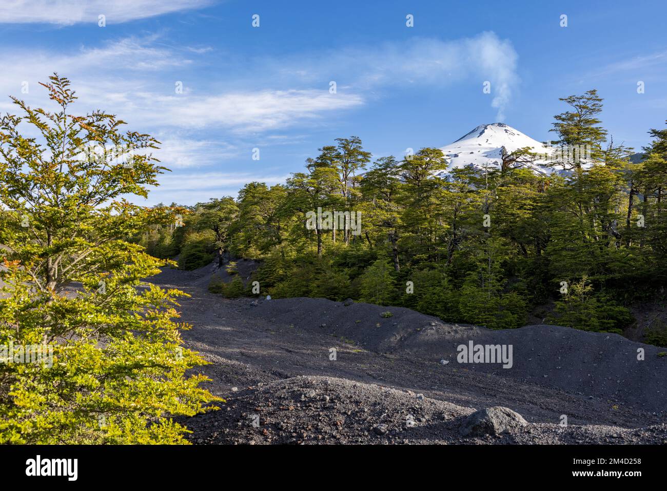 Villarrica volcano with a big column of smoke; Pucon, Chile Stock Photo ...