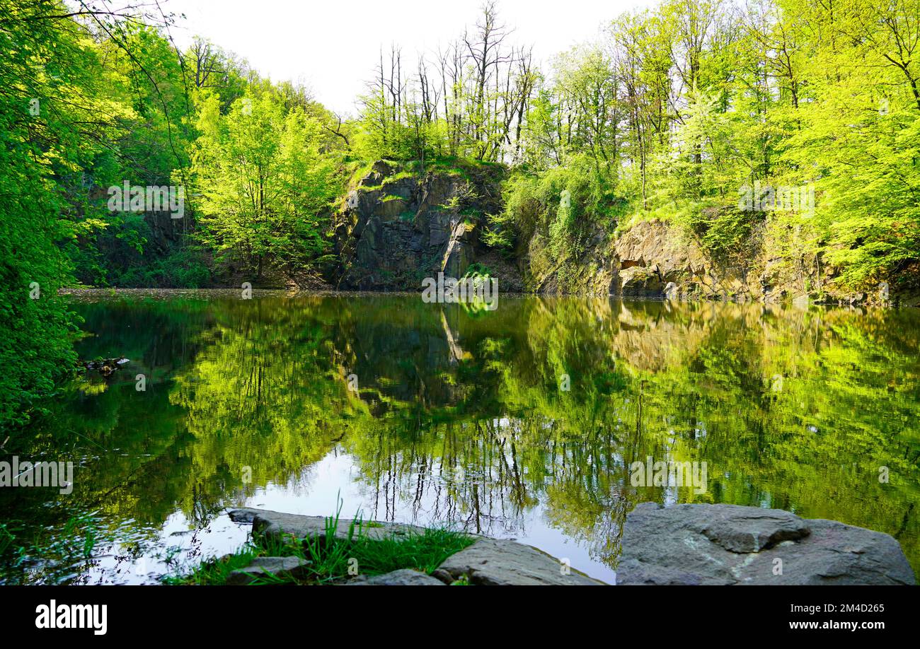 Ammelshain Quarry Nature Reserve. Idyllic small pond with rocks and ...