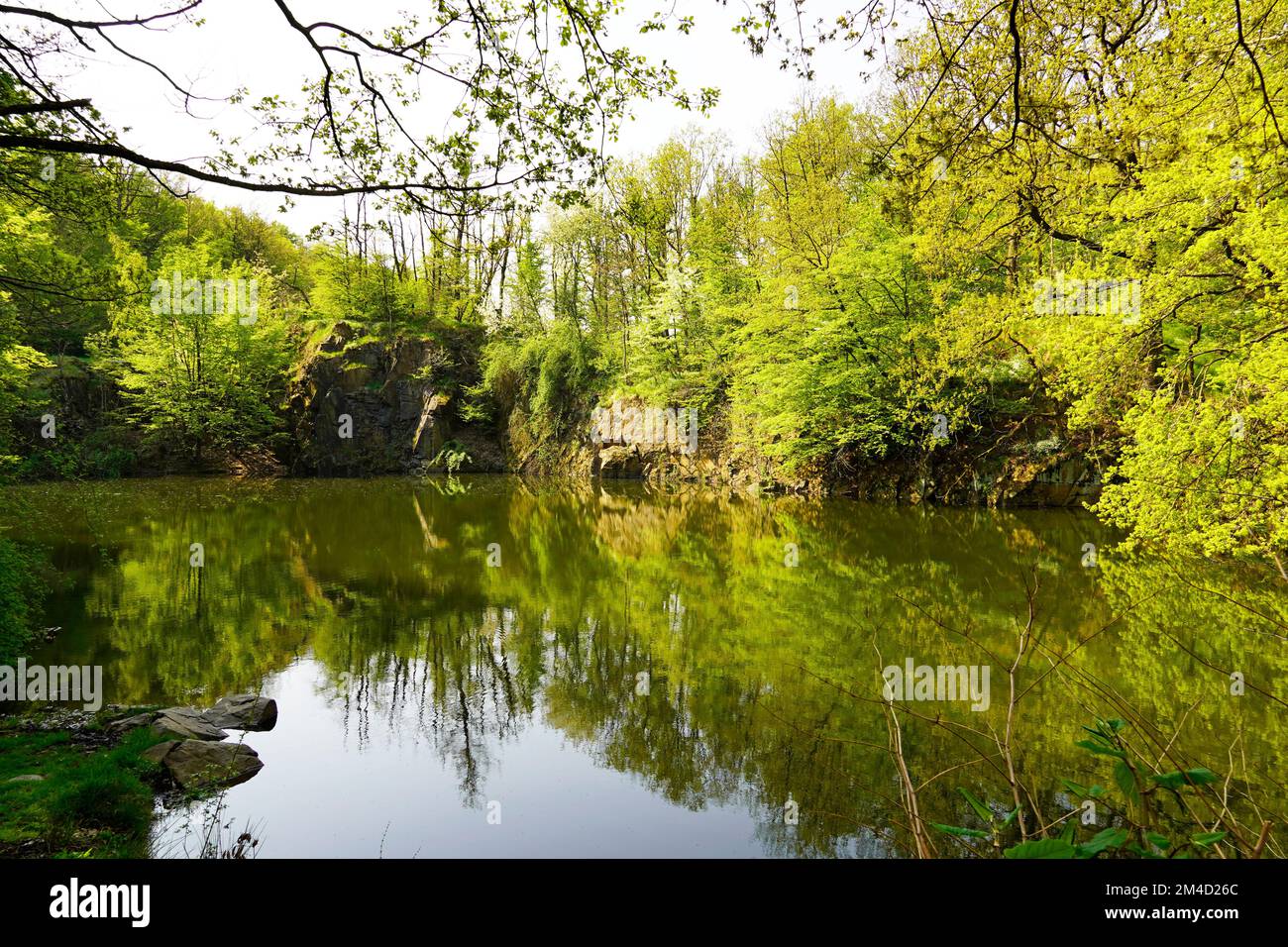 Quarry nature reserve hi-res stock photography and images - Alamy