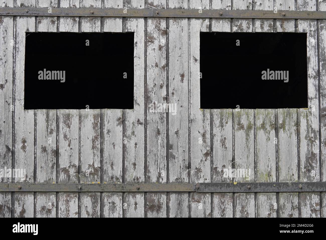 Gray weathered wooden gate of a horse stable with two windows ...