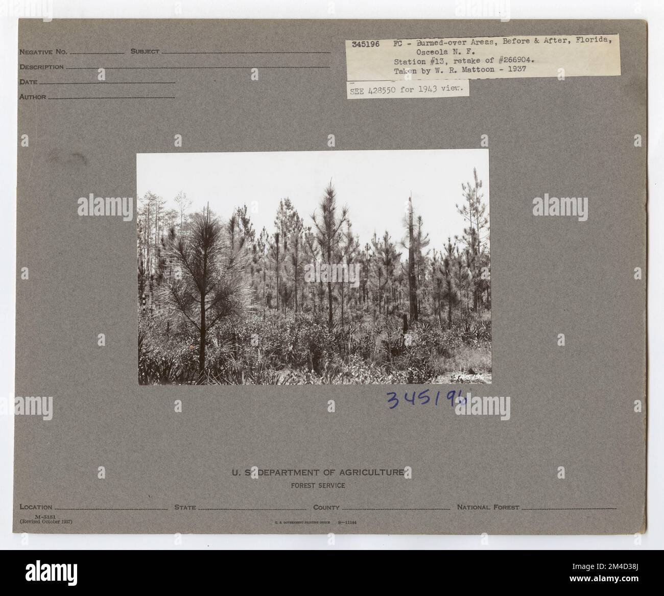 Burned -Over Areas - Camera Point - Florida. Photographs Relating to ...