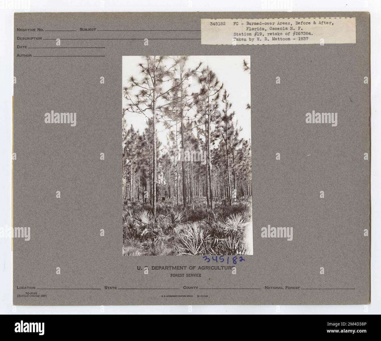 Burned -Over Areas - Camera Point - Florida. Photographs Relating to ...