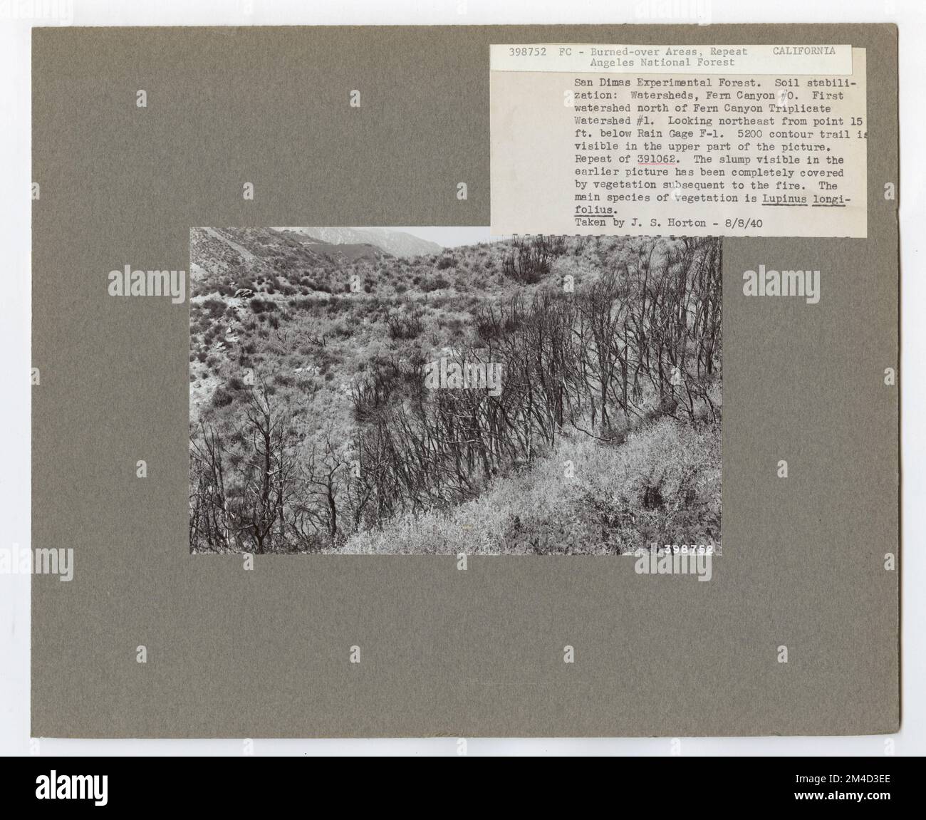 Burned -Over Areas - Camera Point - California. Photographs Relating to ...