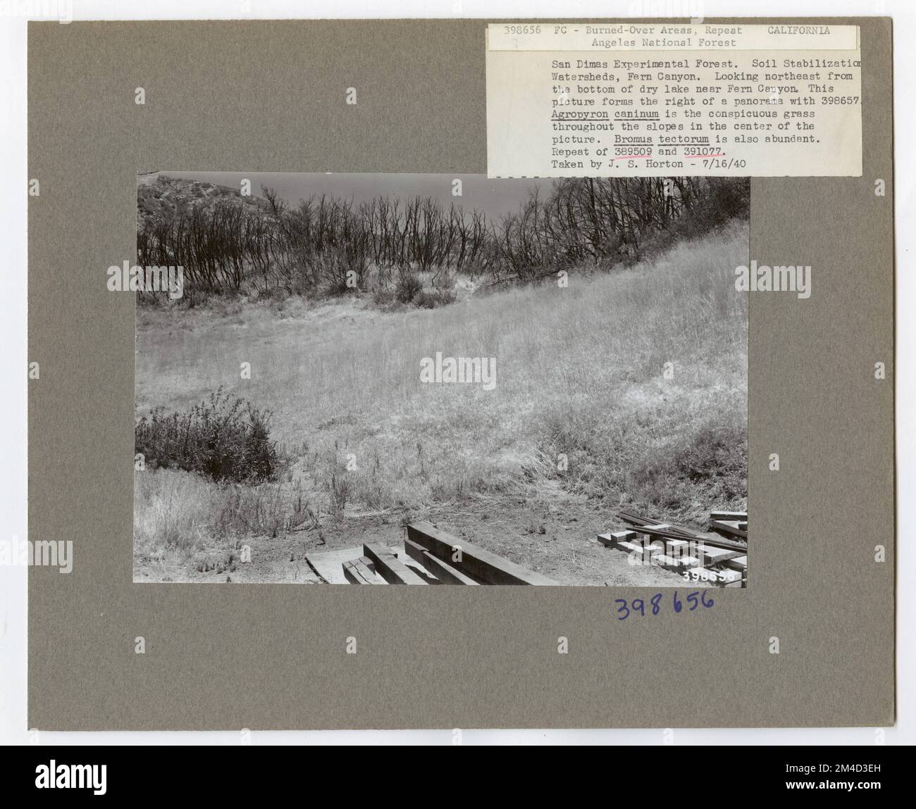 Burned -Over Areas - Camera Point - California. Photographs Relating to ...