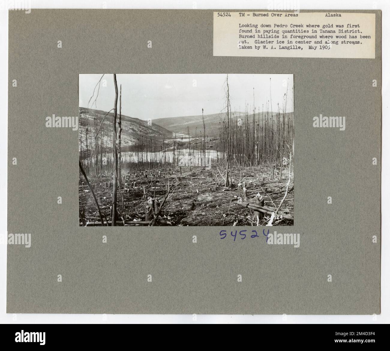 Burned -Over Areas - Camera Point - Alaska. Photographs Relating to ...