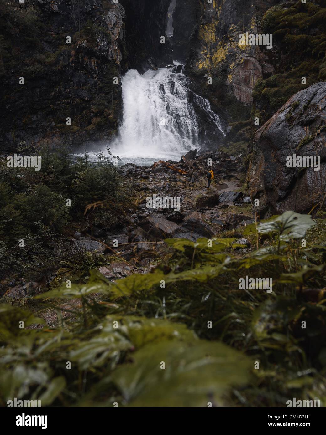 A vertical shot of the mesmerizing Riva waterfalls in the Dolomites in ...