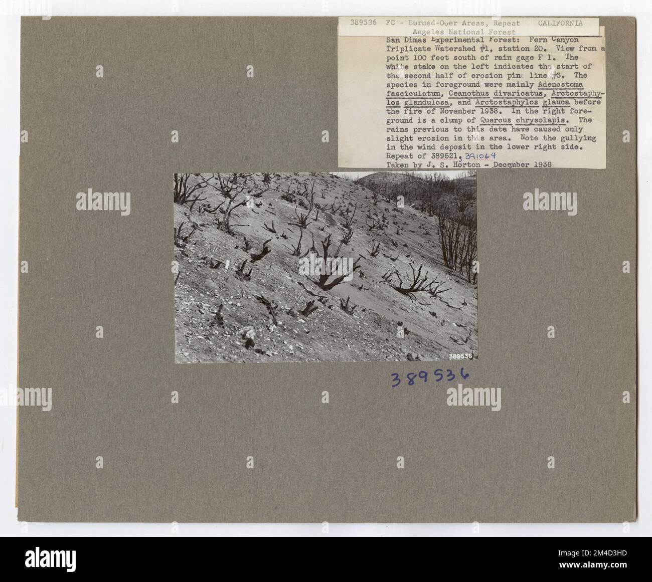 Burned -Over Areas - Camera Point - California. Photographs Relating to ...