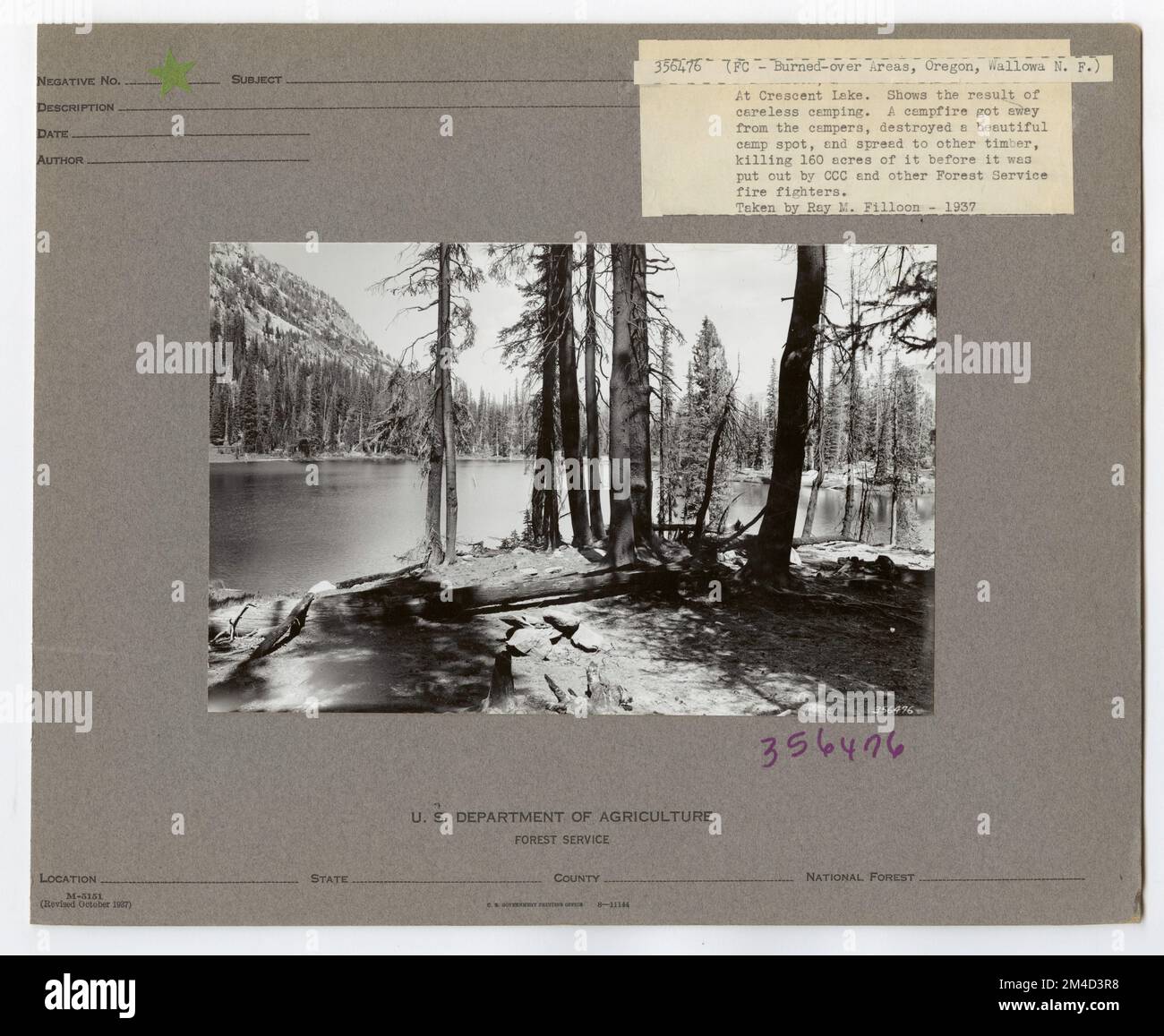 Burned -Over Areas - Oregon. Photographs Relating to National Forests ...