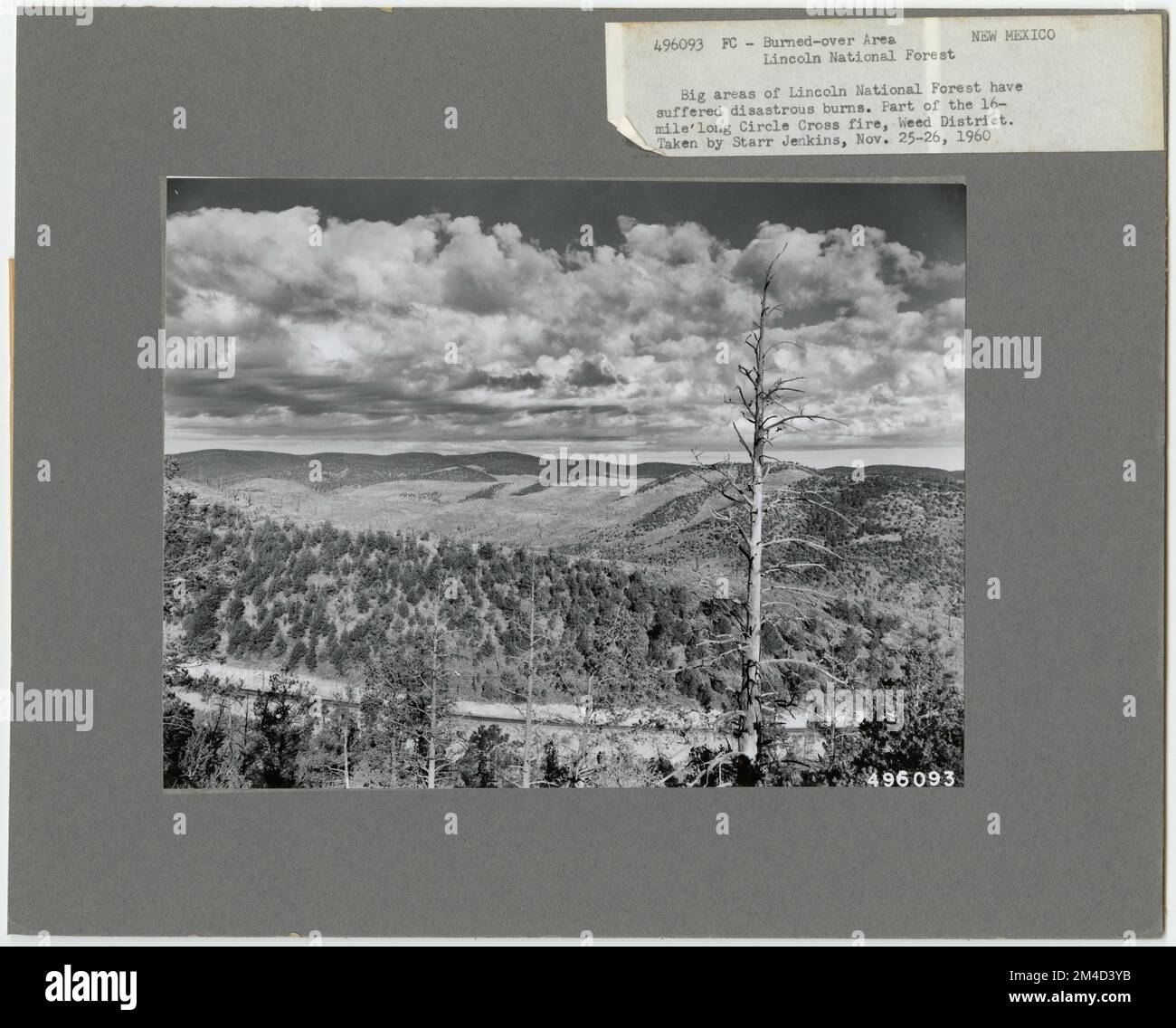 Burned -Over Areas - New Mexico. Photographs Relating to National ...