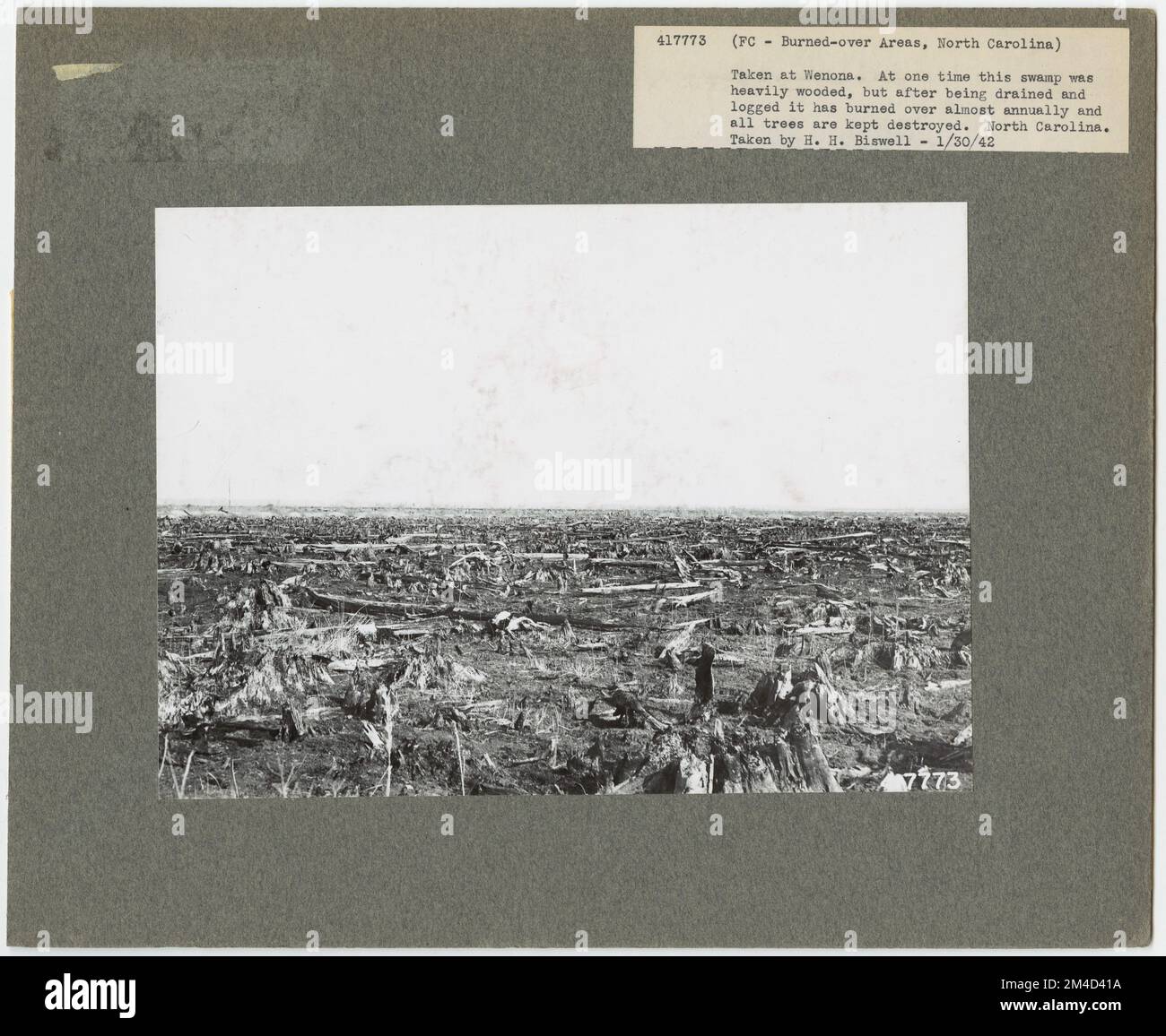 Burned -Over Areas - North Carolina. Photographs Relating to National ...