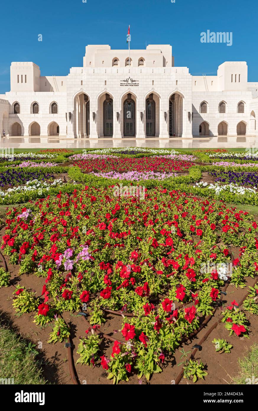 Muscat flower hi-res stock photography and images - Alamy
