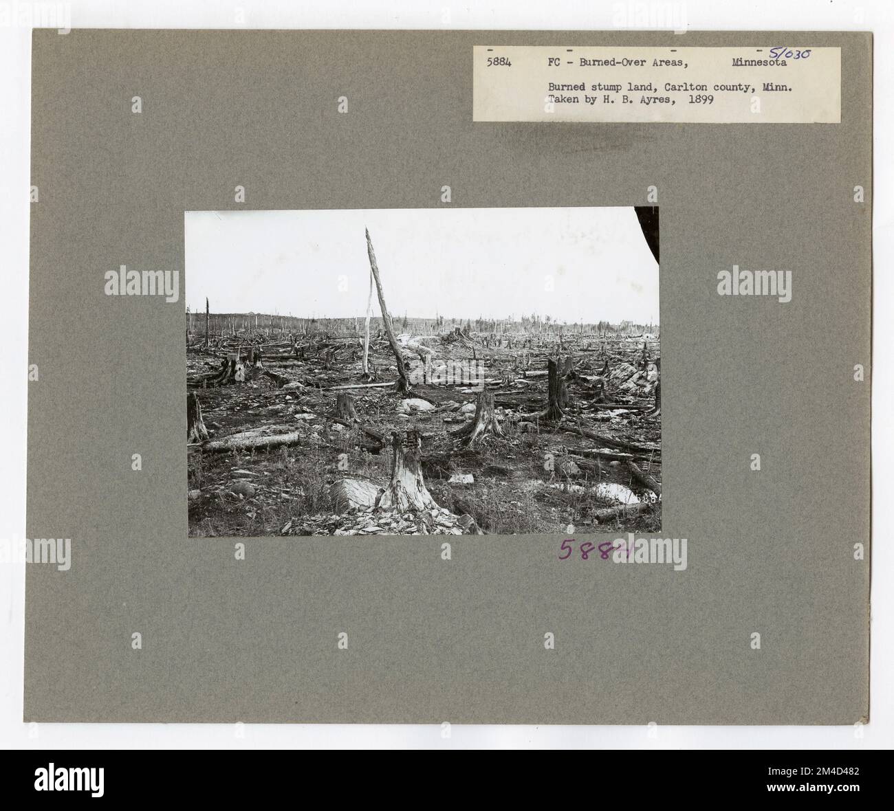 Burned -Over Areas - Minnesota. Photographs Relating to National ...