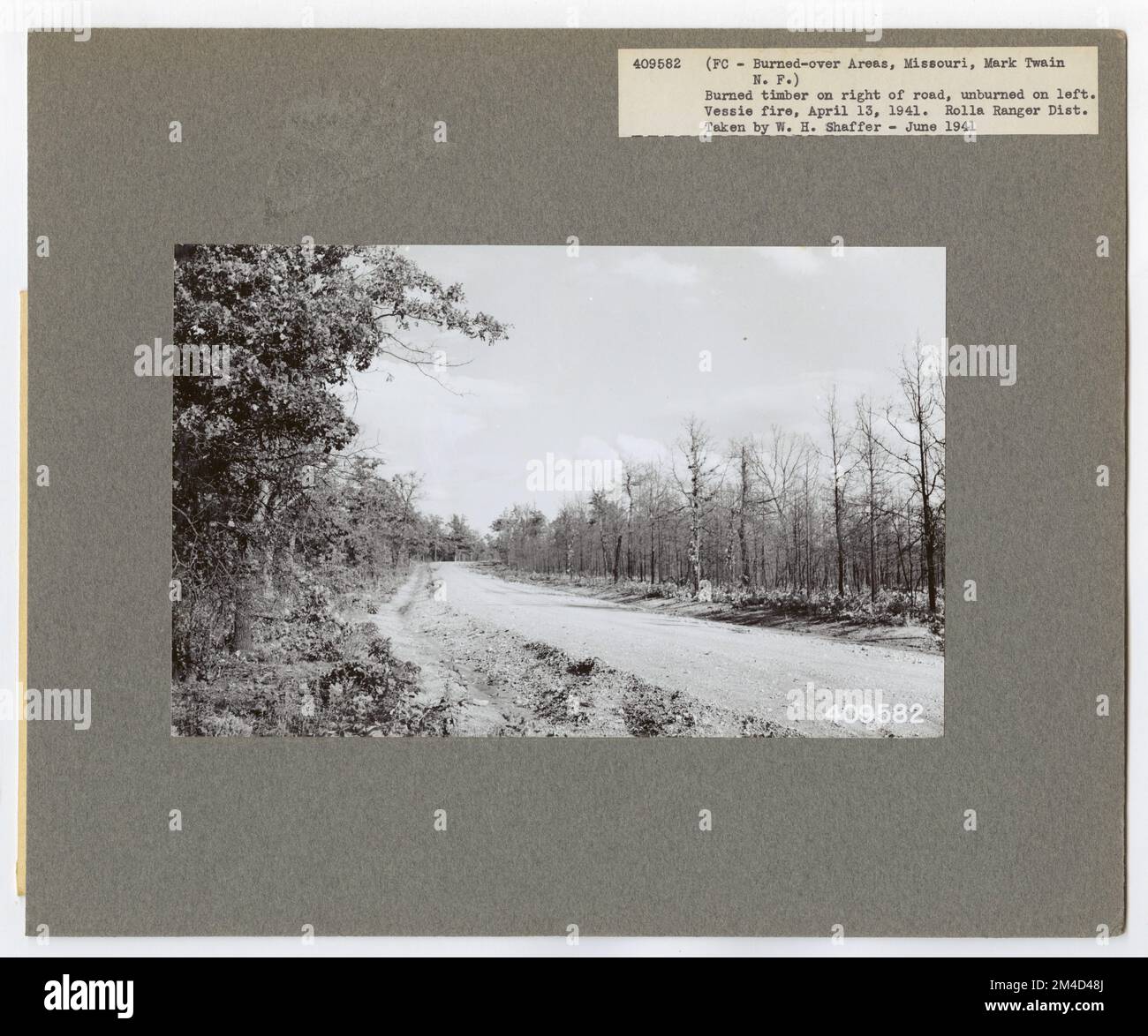 Burned -Over Areas - Missouri. Photographs Relating to National Forests ...