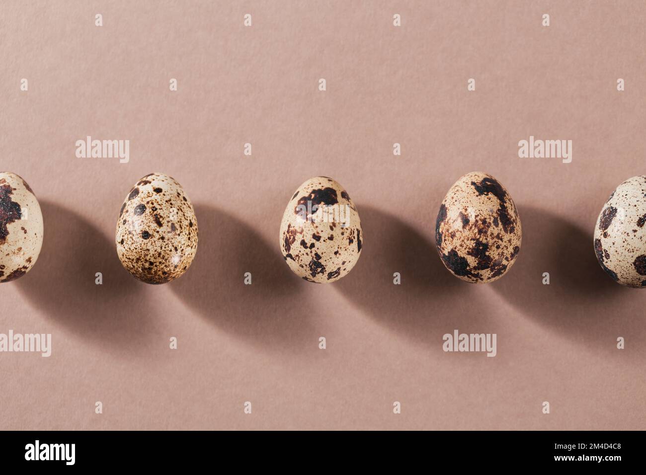 A line with shadows from quail eggs on beige minimal background Stock ...