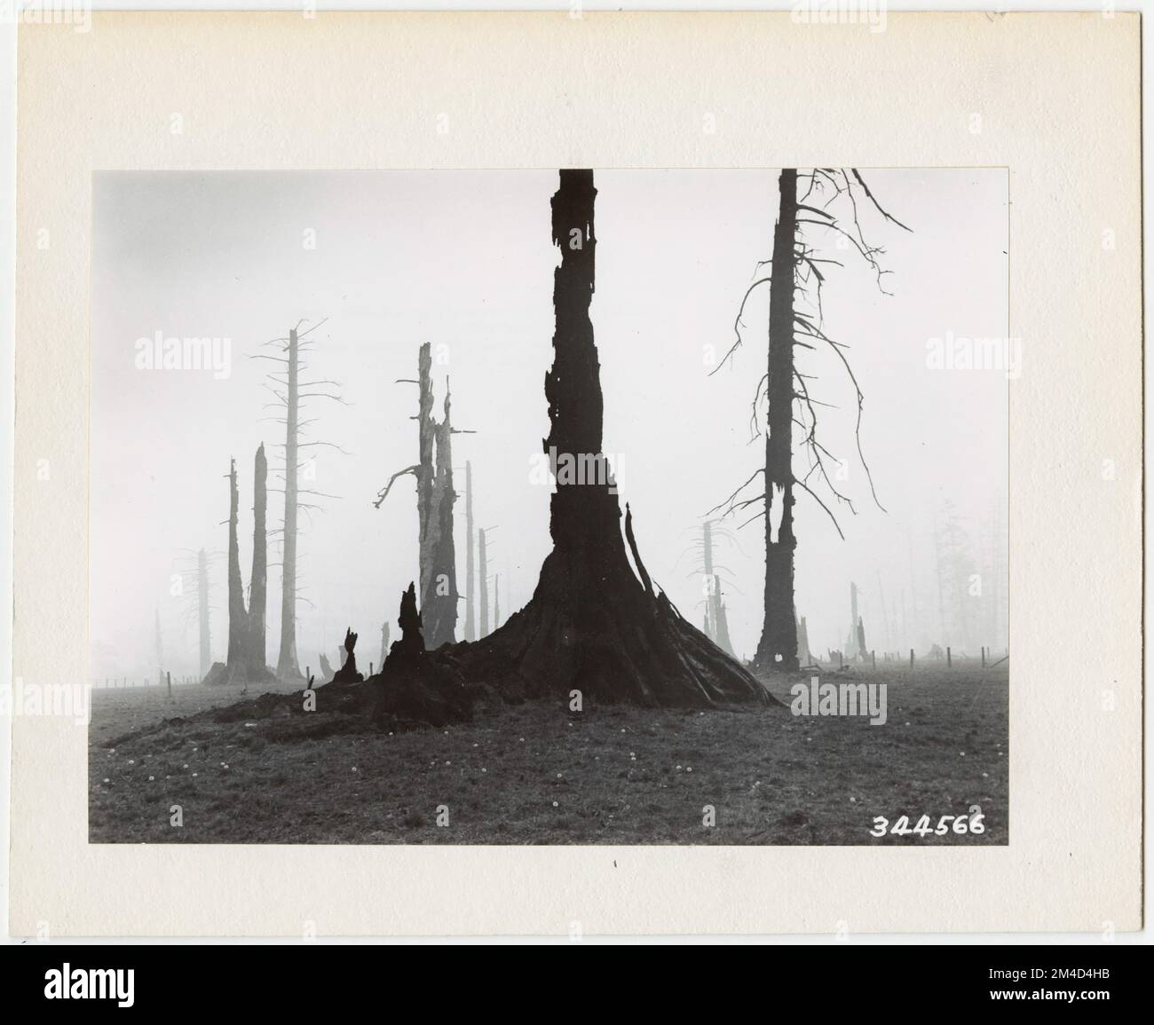 Burned -Over Areas - California. Photographs Relating to National ...