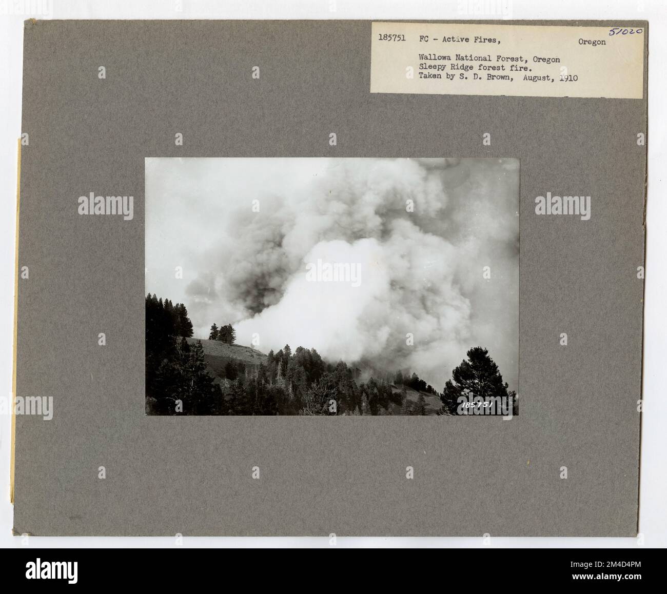 Active Fires - Oregon. Photographs Relating to National Forests ...