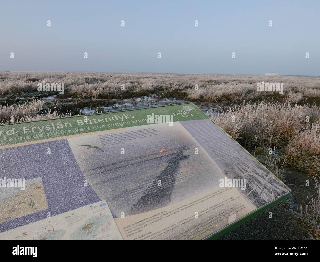 Noard Fryslân Butendyks Nature Reserve in winter. Netherlands. Wadden ...