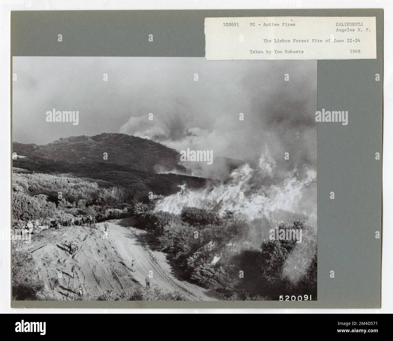 Active Fires - California. Photographs Relating to National Forests ...