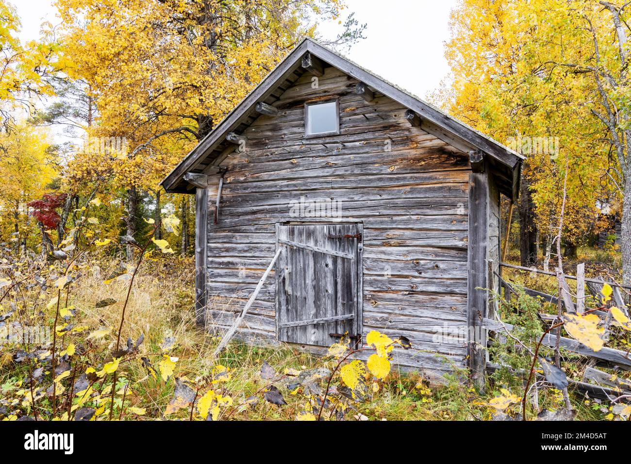 An old wooden barn in a Finnish farmstead during a colorful autumn near ...