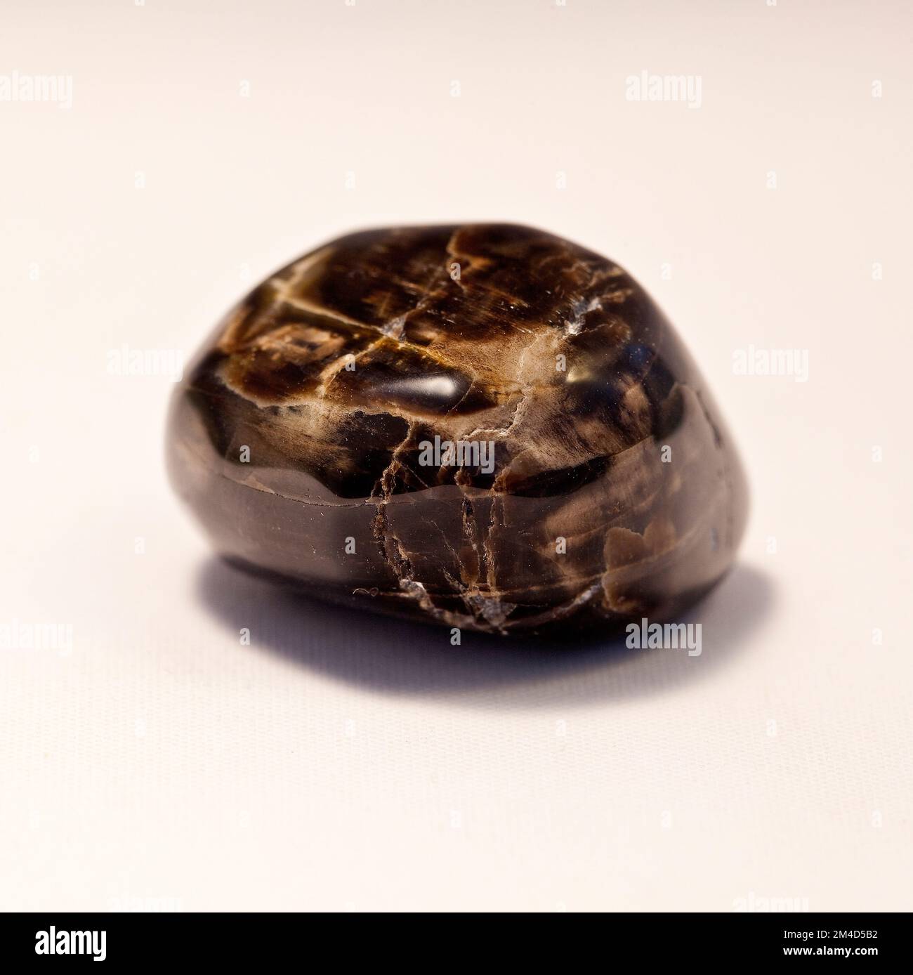 Macro close up colour photograph of a polished " Agate Zebra " a semi ...