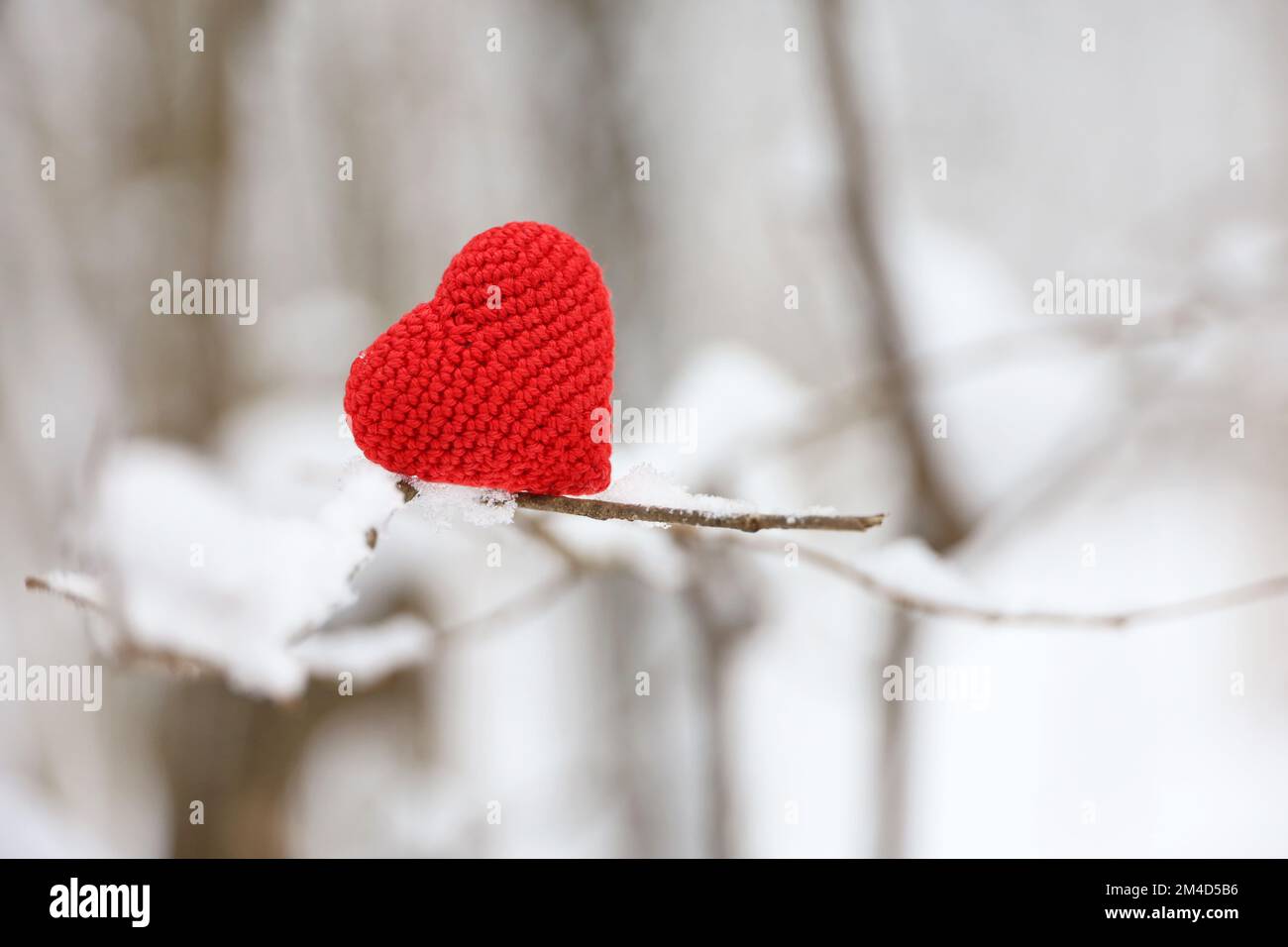 Knitted love heart on tree branch covered with snow in winter forest ...