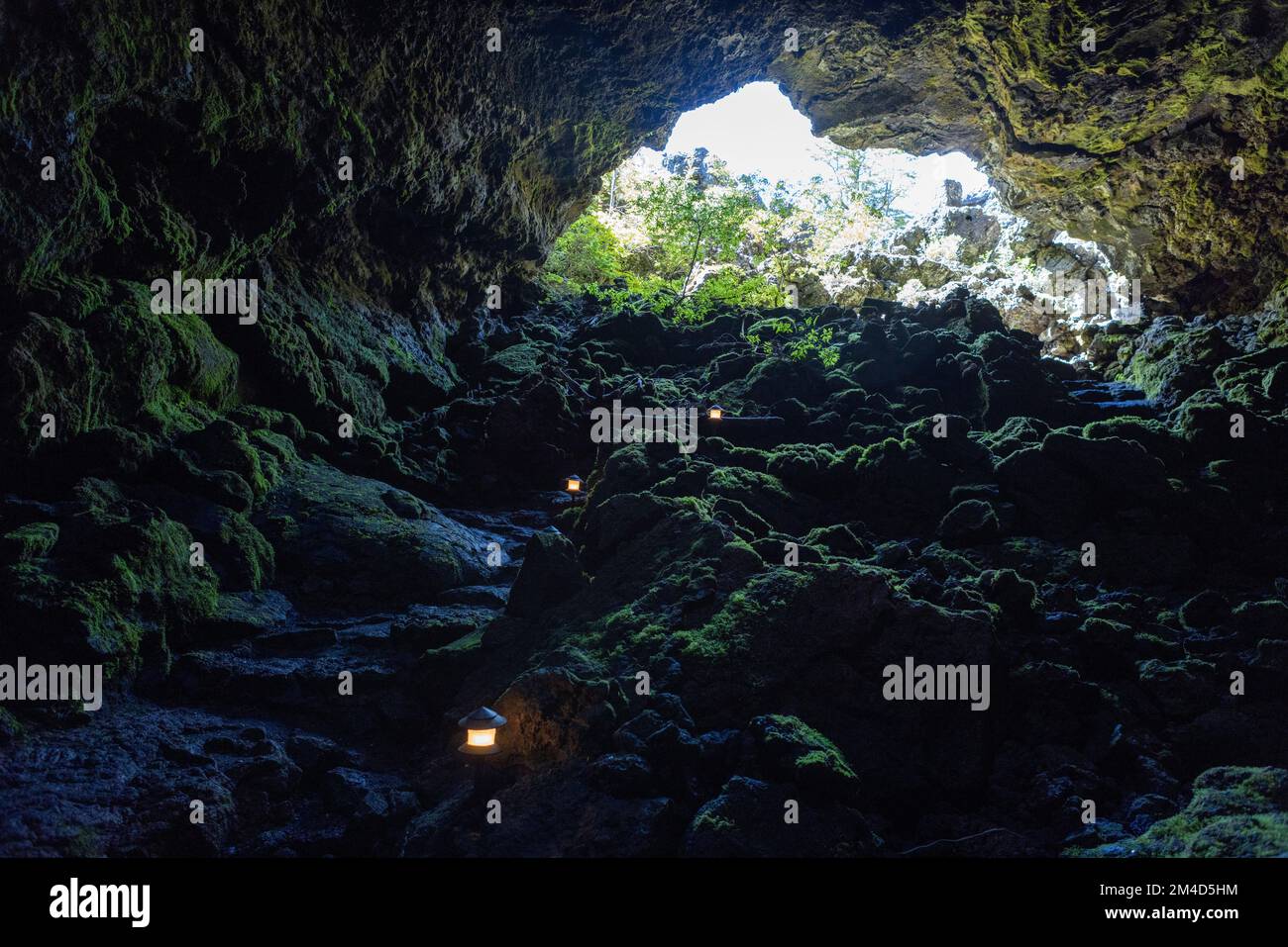 Entrance of a volcanic cave in the Volcanic Caves Park at the foot of ...