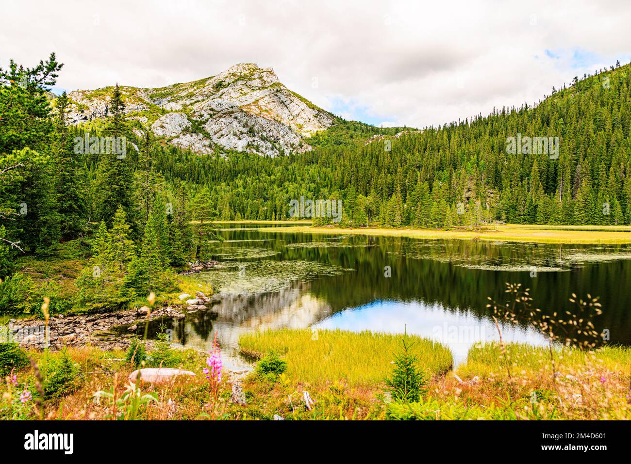 A breathtaking view of mountainous landscape near forest and a lake ...