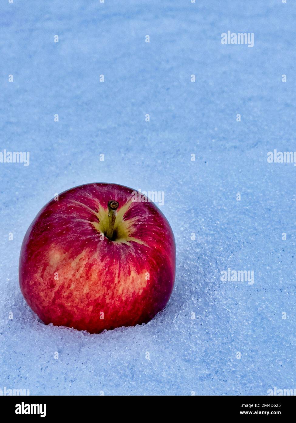 Dropped apple hi-res stock photography and images - Alamy