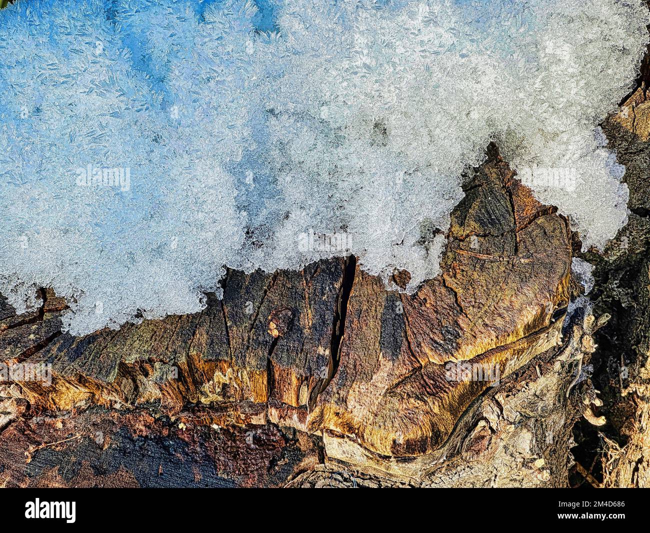 Melting tree hi-res stock photography and images - Alamy